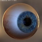 Eye Texture Raytracing Demo - アニマル・ロジックのSurfacing TDによるWebGLでリアルタイム描画された眼球モデル！ | 3D人-3dnchu-