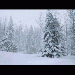 UE4 SpeedTree - Snow - サムネイル実写かと思った！「Unreal Engine 4」と樹木生成ツール「SpeedTree ...