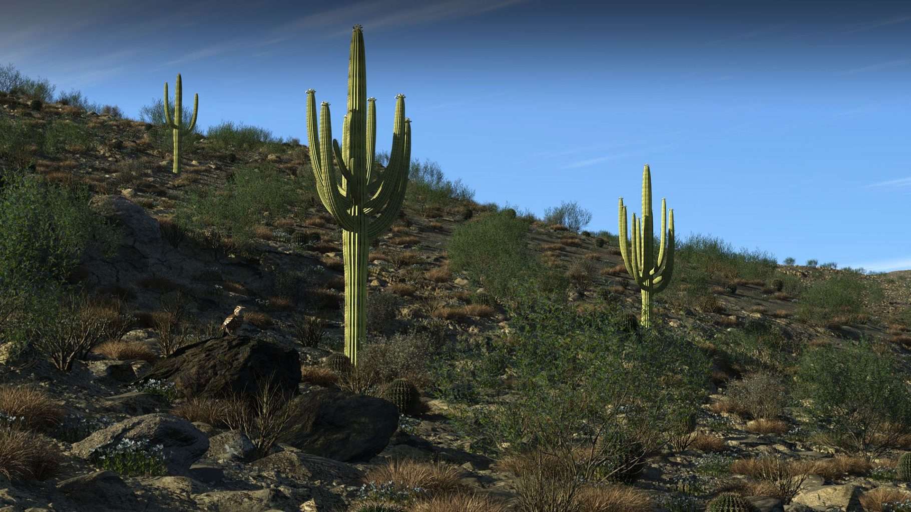 Terragen 4 - フォトリアリスティックな美麗景観CGが作成可能なソフトウェア最新バージョン！高速化・表現力UP・アニメーション可能 ...