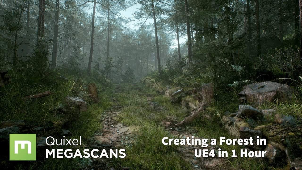 Create a Forest in UE4 in 1 Hour - アンリアルエンジンを使い1時間で"森"を構築する！Quixel MEGASCANSによるメイキング映像！