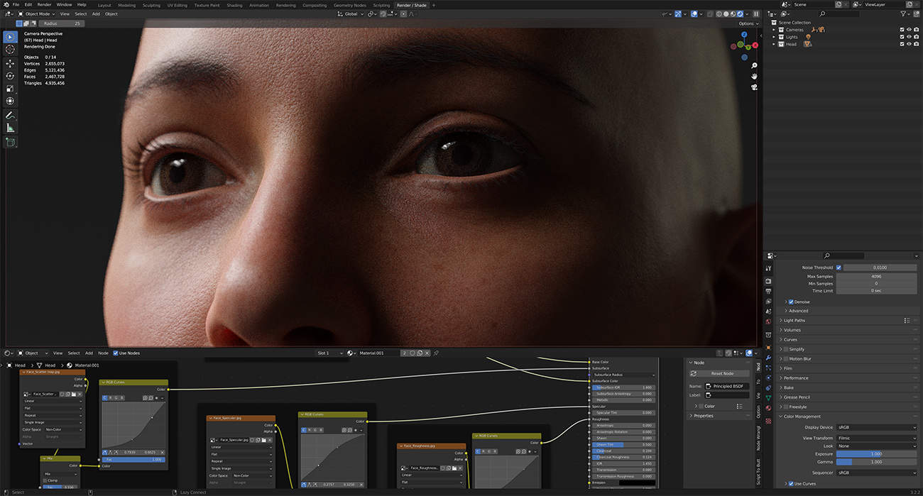 FREE HD HEAD - 3Dスキャンされたリアルな頭部モデルが3D SCAN STOREにて無料公開！ZTLやFBXデータの他に ...