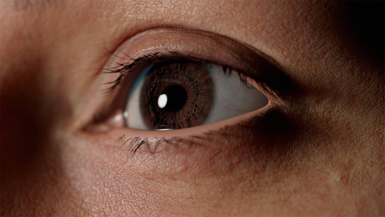 FREE HD HEAD - 3Dスキャンされたリアルな頭部モデルが3D SCAN STOREにて無料公開！ZTLやFBXデータの他に ...